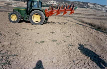 Arados de Vertedera Muñoz Arados gama BTM 1000 | Agromaquinaria.es