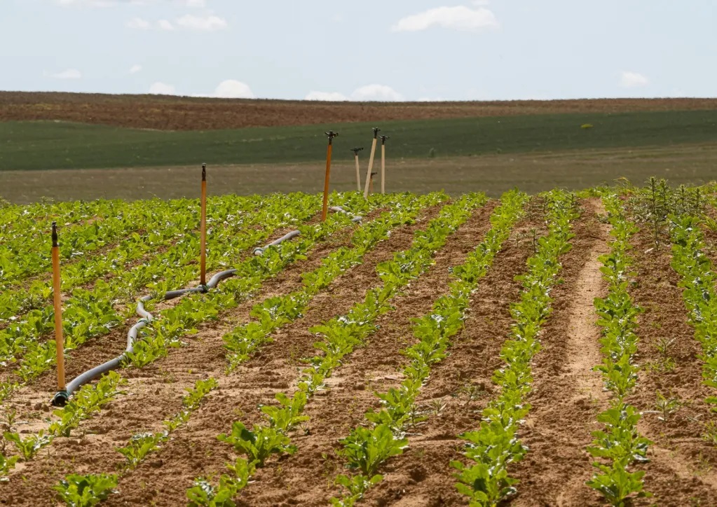 El centro de innovación de Bayer en Brenes (Sevil... | Agromaquinaria.es