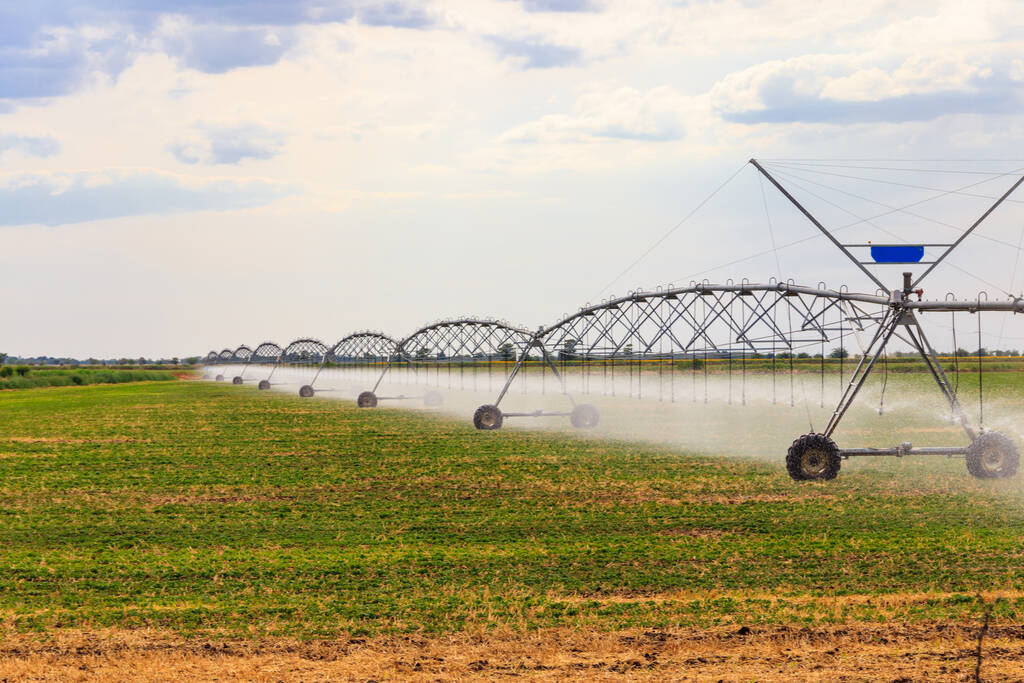 La directora general de Desarrollo Rural valora l... | Agromaquinaria.es